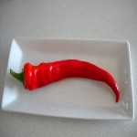 Fat Burning Foods - Fat Burning Diet For Better Health And Wellness