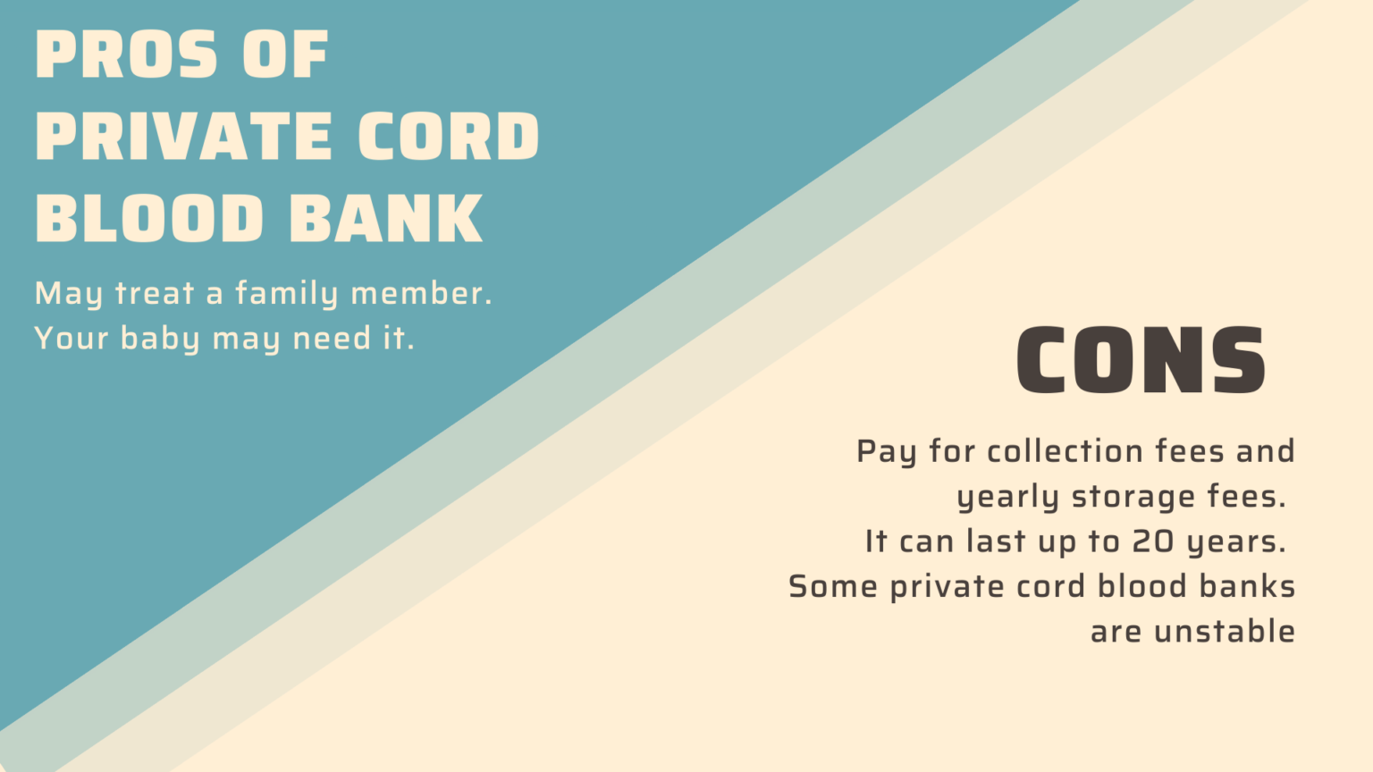 Who Can Donate Cord Blood: Meet These 11 Requirements