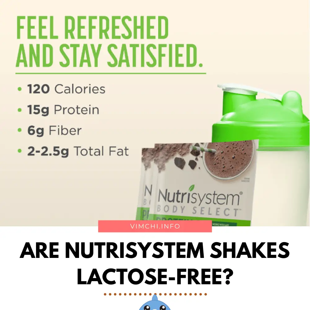 Are Nutrisystem Shakes Lactose Free? - Vim Chi