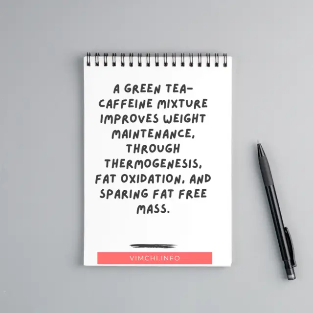 Tea And Fat Loss: Best Teas To Lose Extra Fat