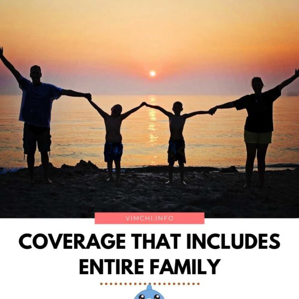 Tricks To Find The Right Health Insurance For Family - Vim Ch'i