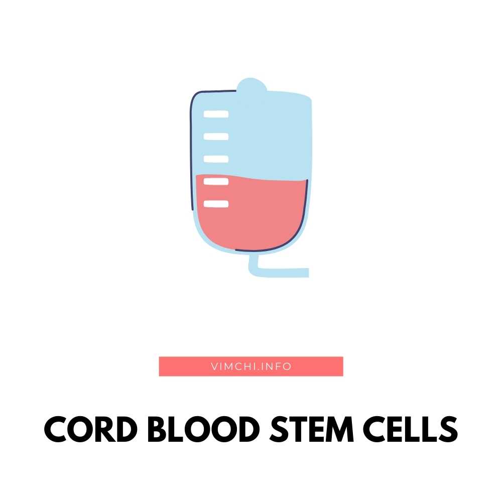 Can Cord Blood Stem Cells Be Multiplied - Vim Ch'i
