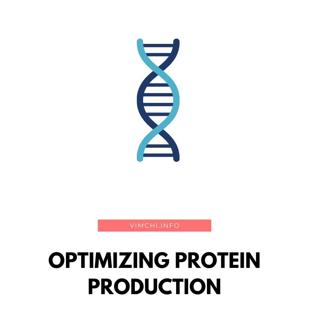 Tips And Trick To Optimize Protein Production - Vim Ch'i