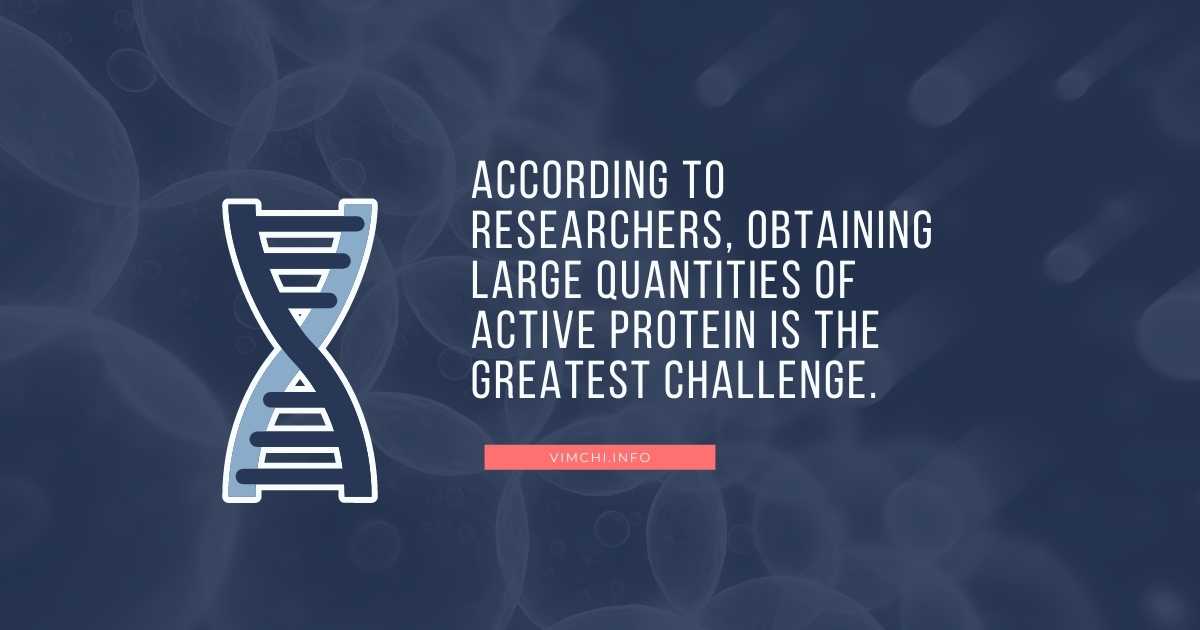 Tips And Trick To Optimize Protein Production - Vim Ch'i