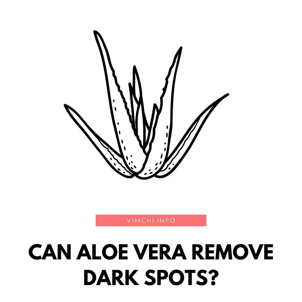Can Aloe Vera Remove Dark Spots Vim Chi