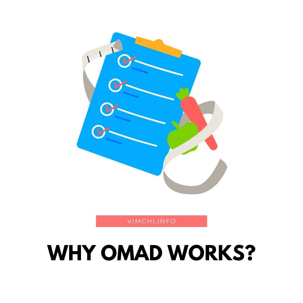 Why OMAD Works? - Vim Ch'i