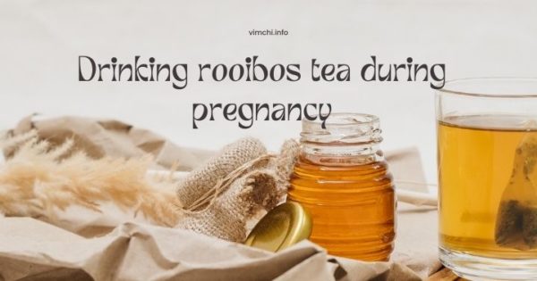 3 Tips To Make The Most Out Of Rooibos Tea While Pregnant: Approved